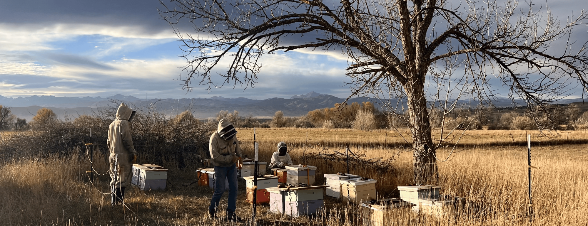 Home | California Master Beekeeper Program